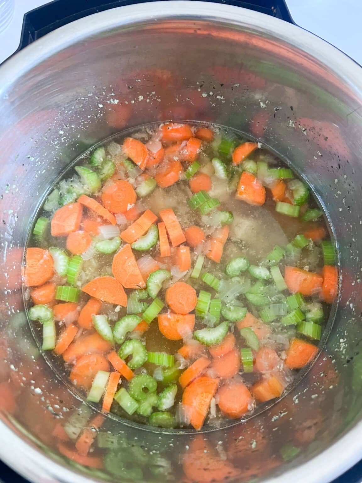 Pork Chop Stew